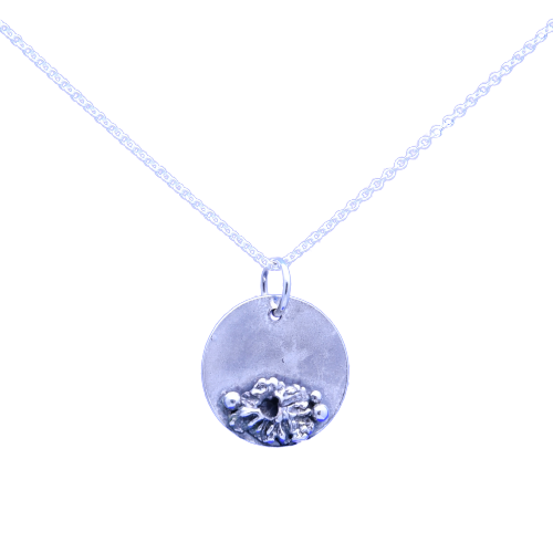 Barnacle Disc (1) – Allie Perry Designs